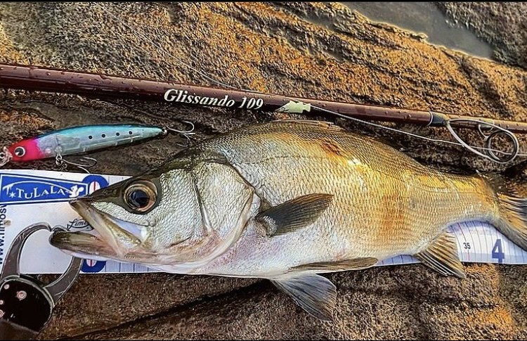 kosuke 110F / ima - For Your Lush Life.