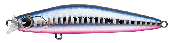 ima 2017 - kosuke 85F